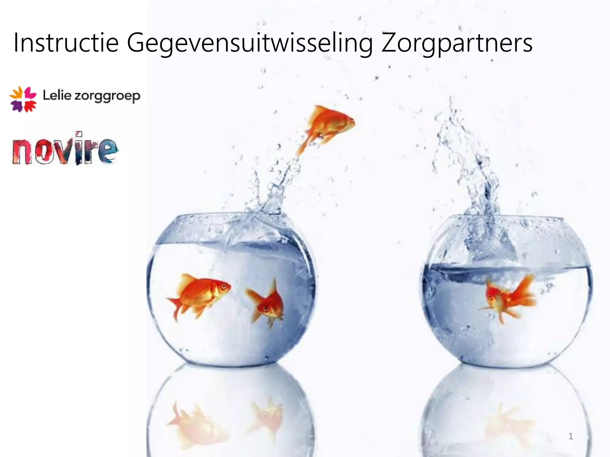 Lelie zorggroep en Novire | Instructie werkwijze communicatie ...