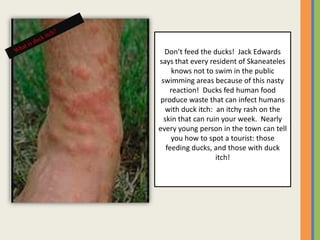 Instructional inquiry | PPT