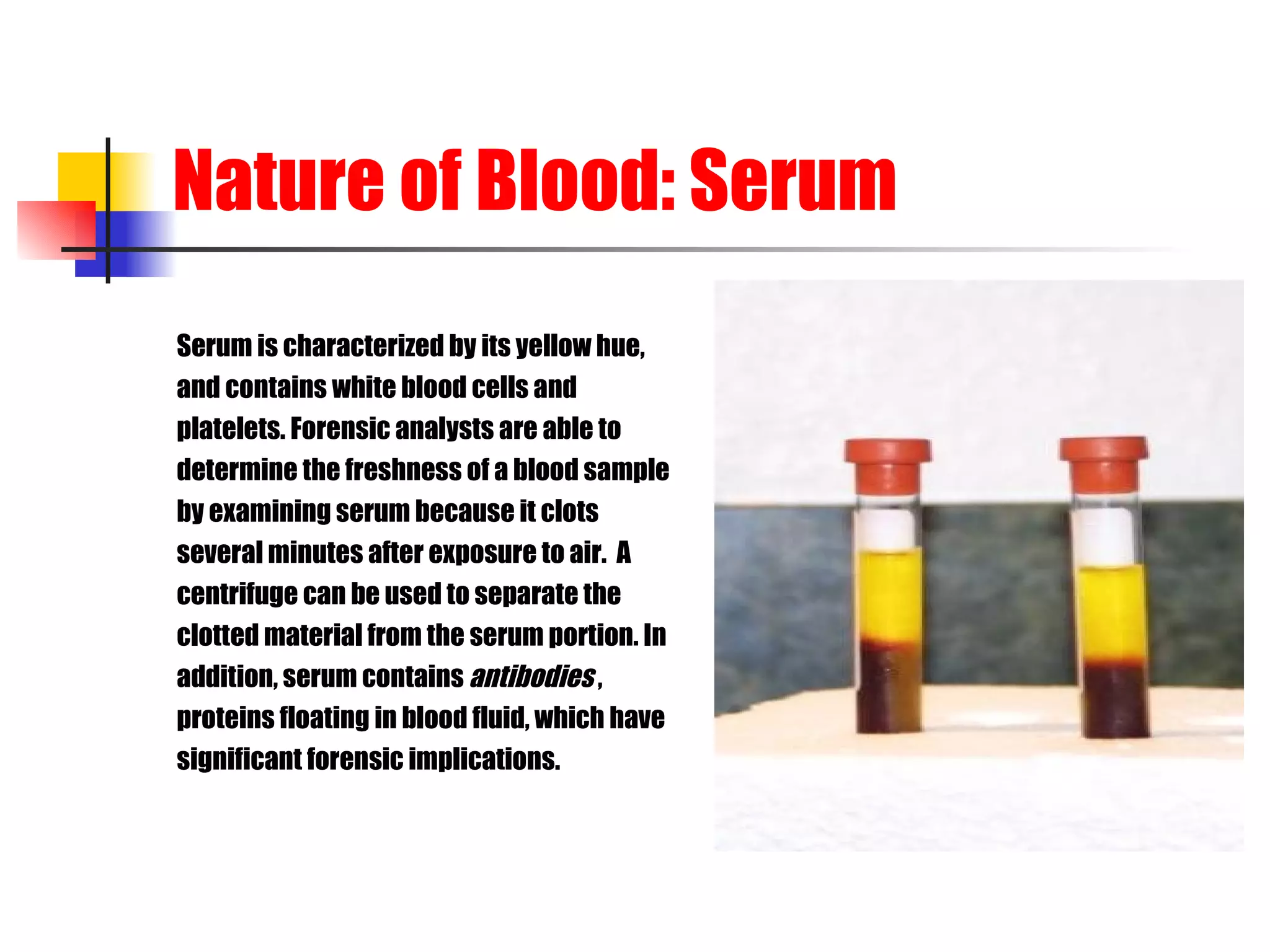 Forensic Serology: BLOOD | PPT