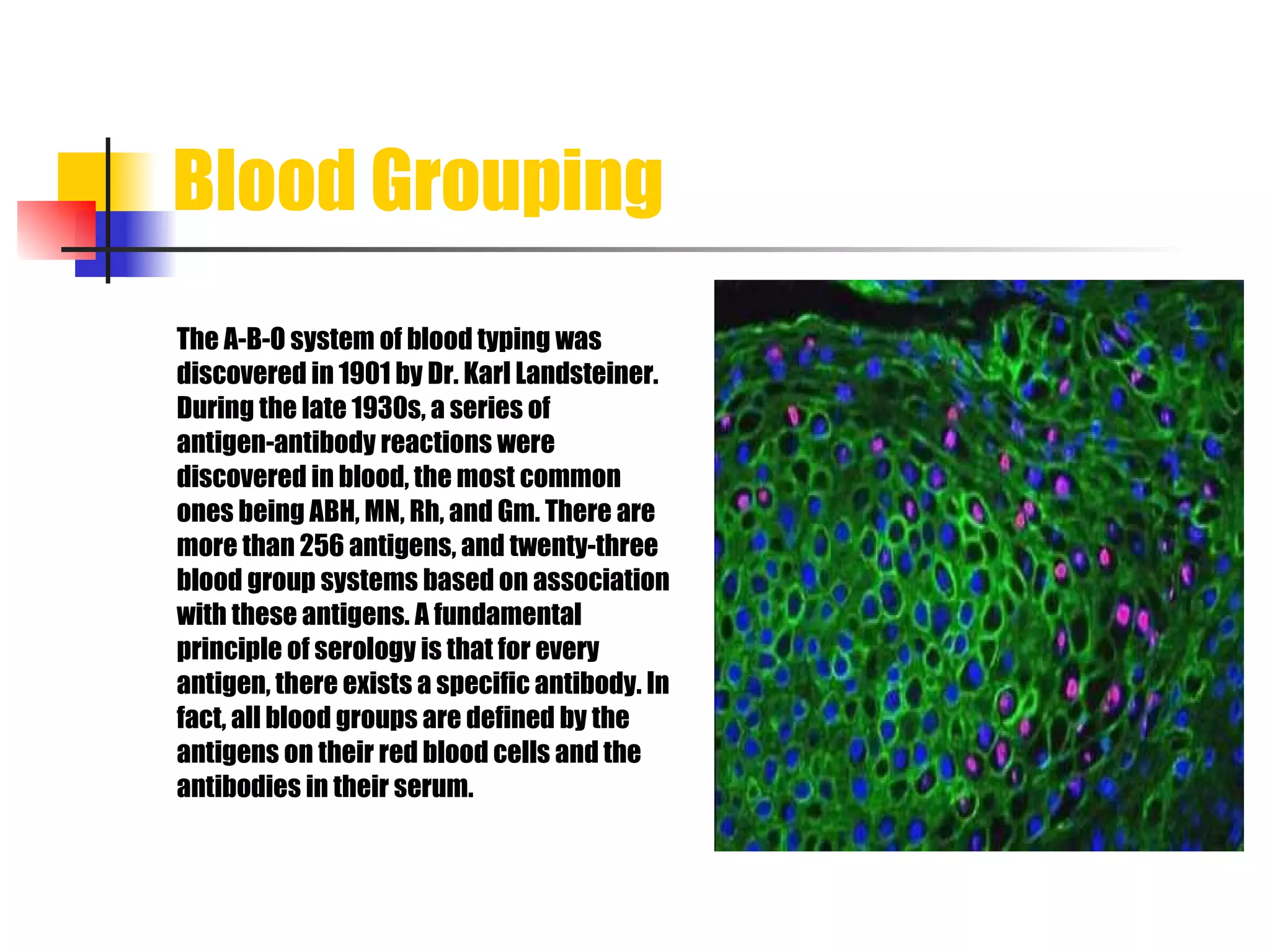 Forensic Serology: BLOOD | PPT