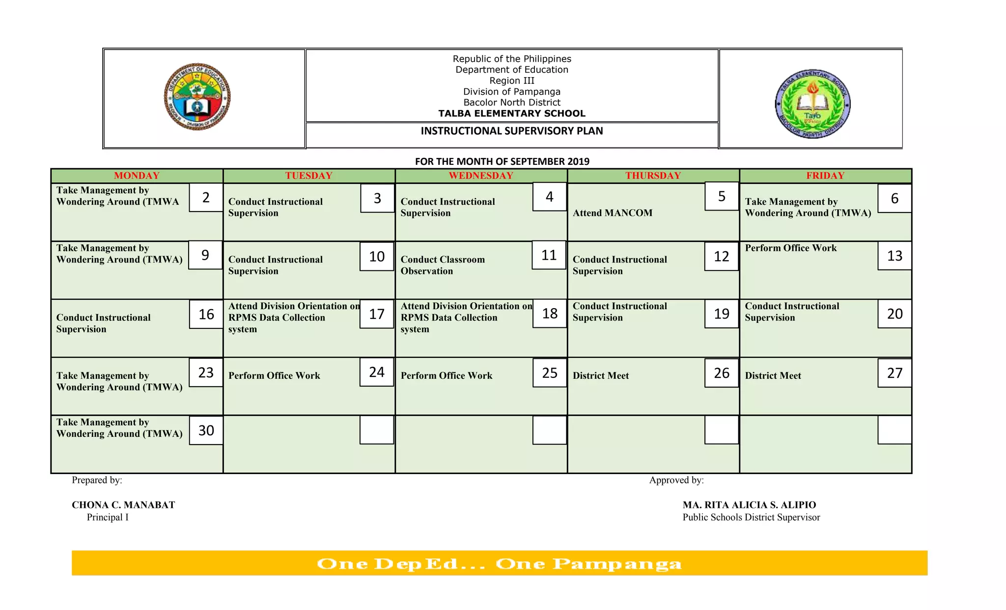 INSTRUCTIONAL SUPERVISORY PLAN.docx