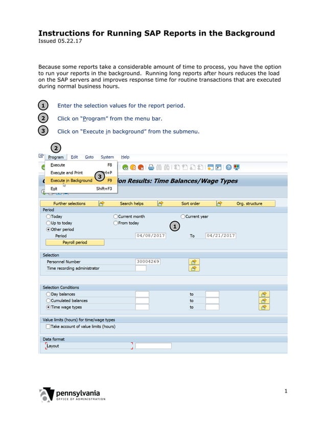 instructions-sap-reports-background.pdf