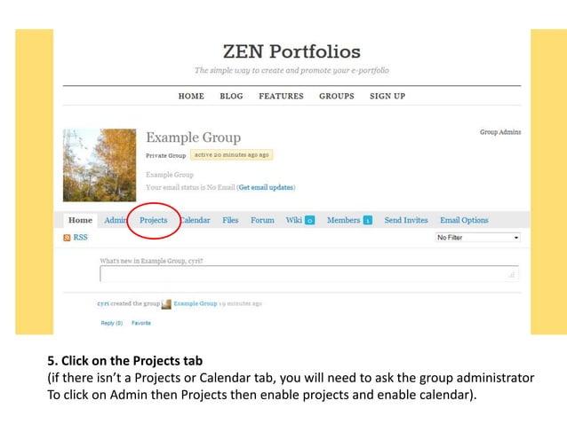 Instructions for setting up projects using zen portfolios | PPT