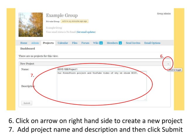 Instructions for setting up projects using zen portfolios | PPT
