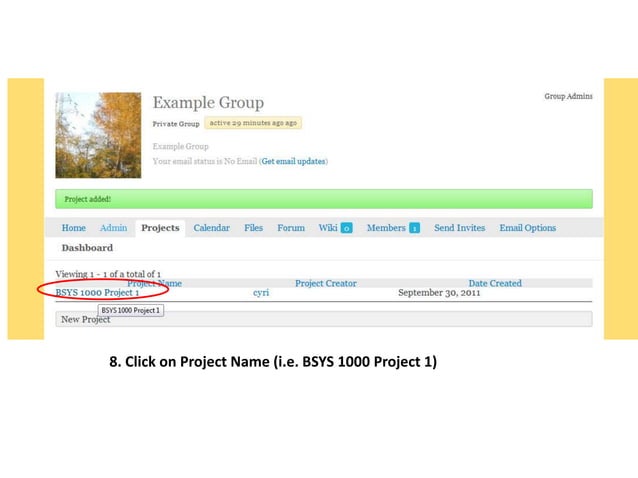 Instructions for setting up projects using zen portfolios | PPT