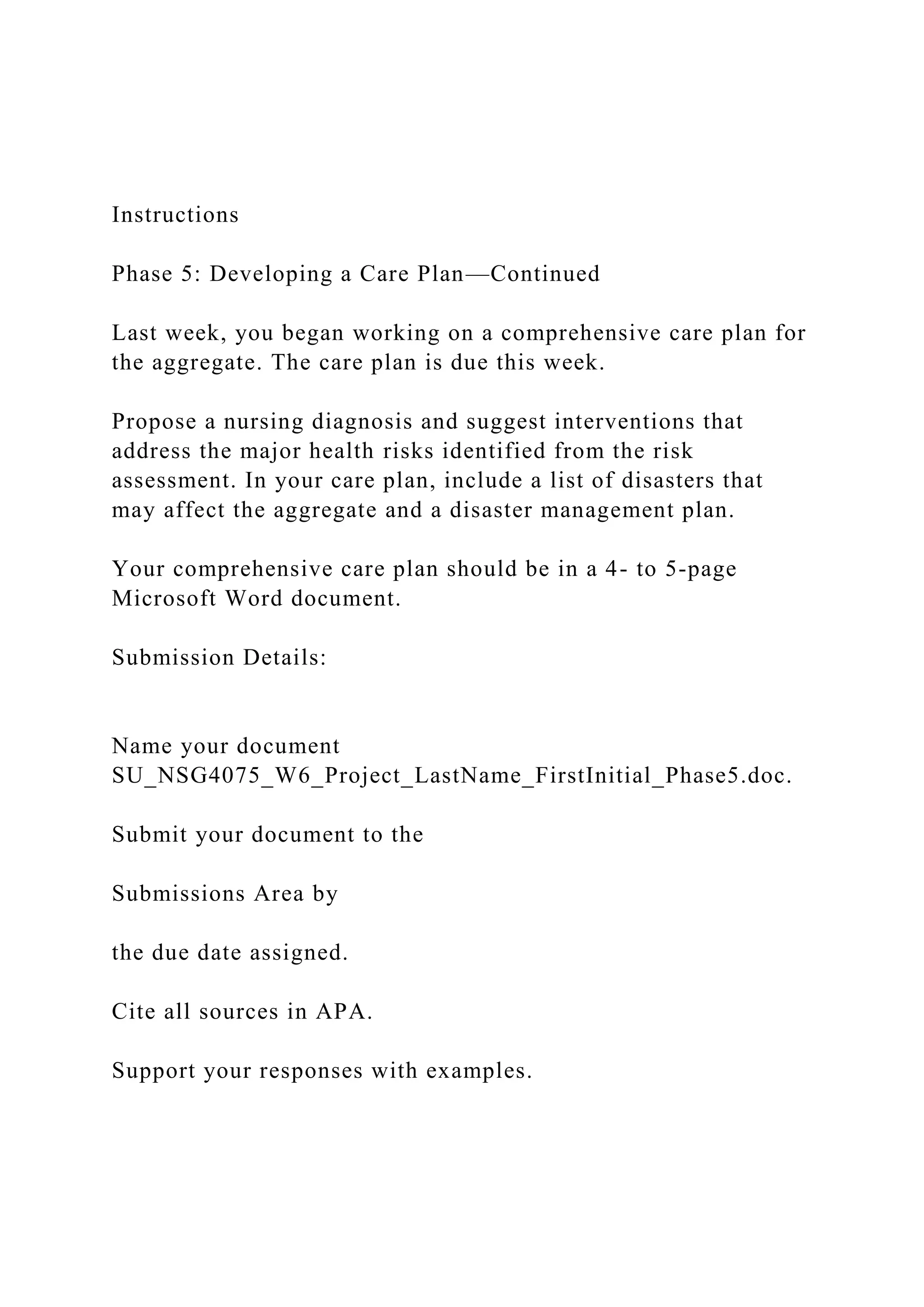 InstructionsPhase 5 Developing a Care Plan—ContinuedLas.docx