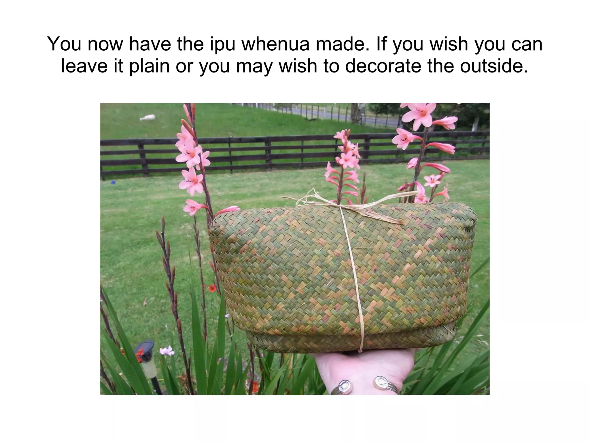 Instructions to make a simple bio degradable ipu whenua ii | PPT