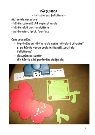 Instructiuni | DOC