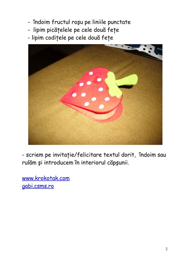 Instructiuni | DOC