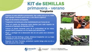 INSTRUCTIVO SEMILLAS.pdf