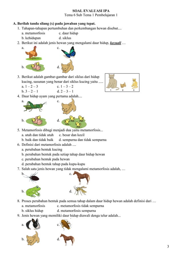 Instrumen penelitian IPA Kelas 4 siklus 1 | PDF