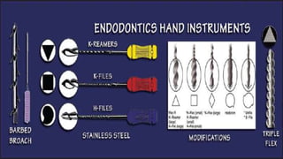 Endo Instruments | PPT