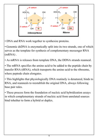 Molecular Theory and techniques and polymerase chain reaction | PDF