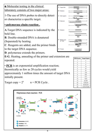 Molecular Theory and techniques and polymerase chain reaction | PDF
