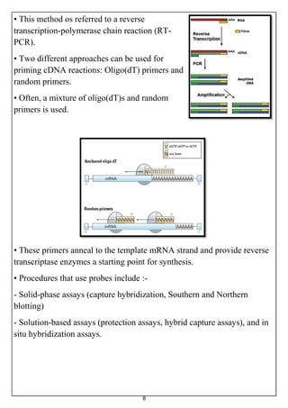 Molecular Theory and techniques and polymerase chain reaction | PDF