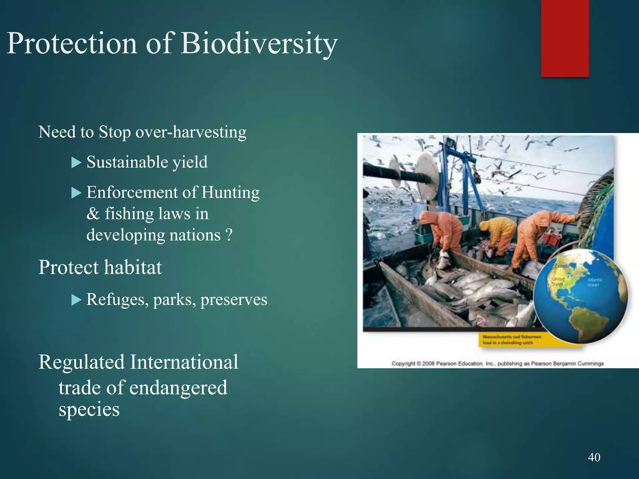 Instrumental and intrinsic values of biodiversity | PPT