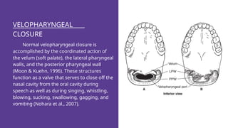 instrumental assesment of velopharyngeal closure.pptx