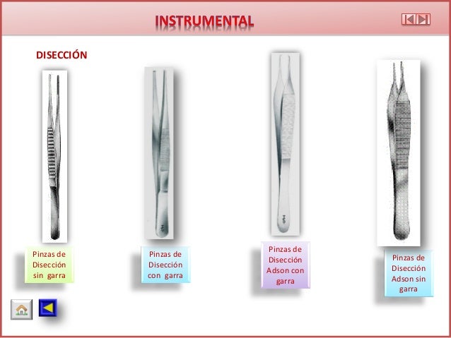Instrumental basico y especializado