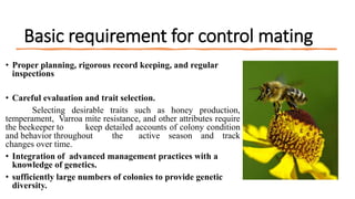 instrumental insemination in honeybee.pptx | Infertility | Reproductive ...