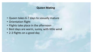 instrumental insemination in honeybee.pptx | Infertility | Reproductive Health