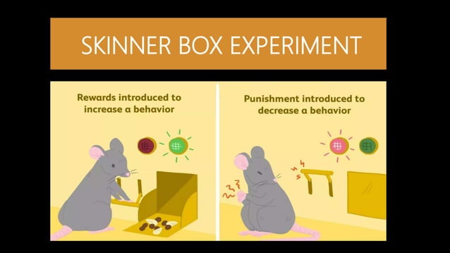 Instrumental Learning Theory | PPTX | Parenting | Family and Relationships