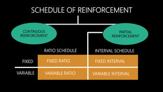 Instrumental Learning Theory | PPTX