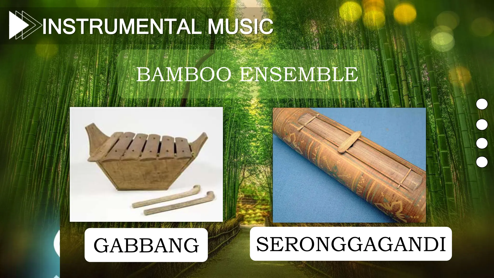 INSTRUMENTAL MUSIC OF MINDANAO PPT 2.pptx