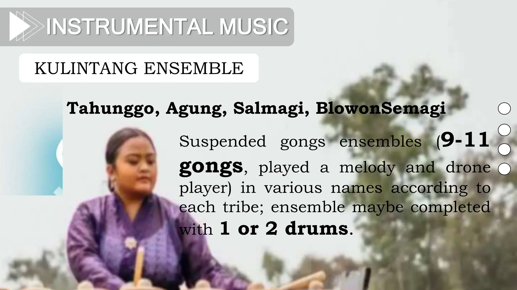 INSTRUMENTAL MUSIC OF MINDANAO PPT 2.pptx