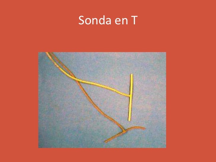 Sonda En T Catell - slingo
