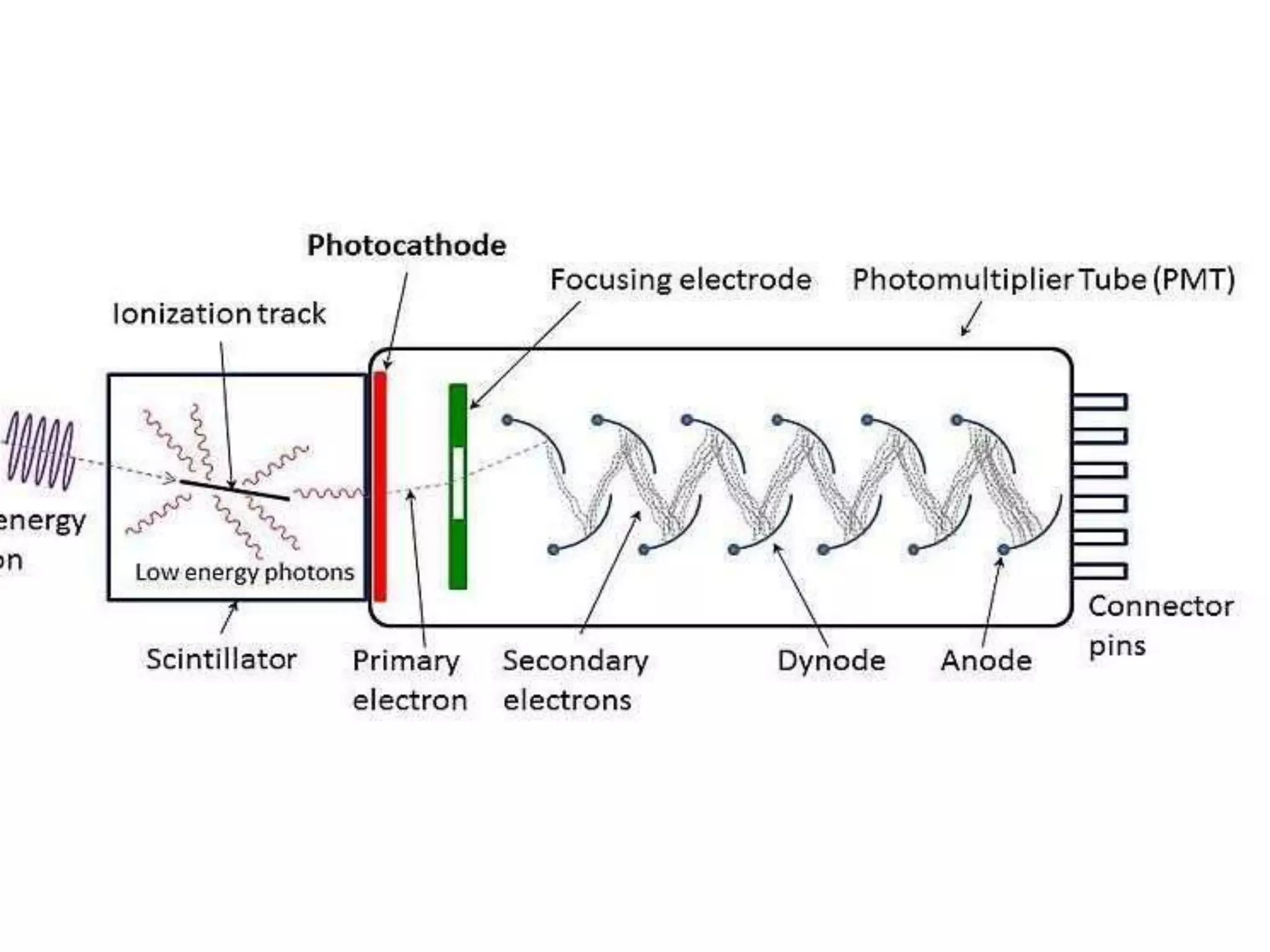 Instrumentation fluorimetry | PPTX