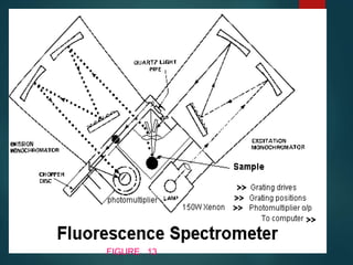 Instrumentation fluorimetry | PPTX