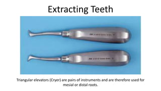 Instruments for oral surgery | PPTX