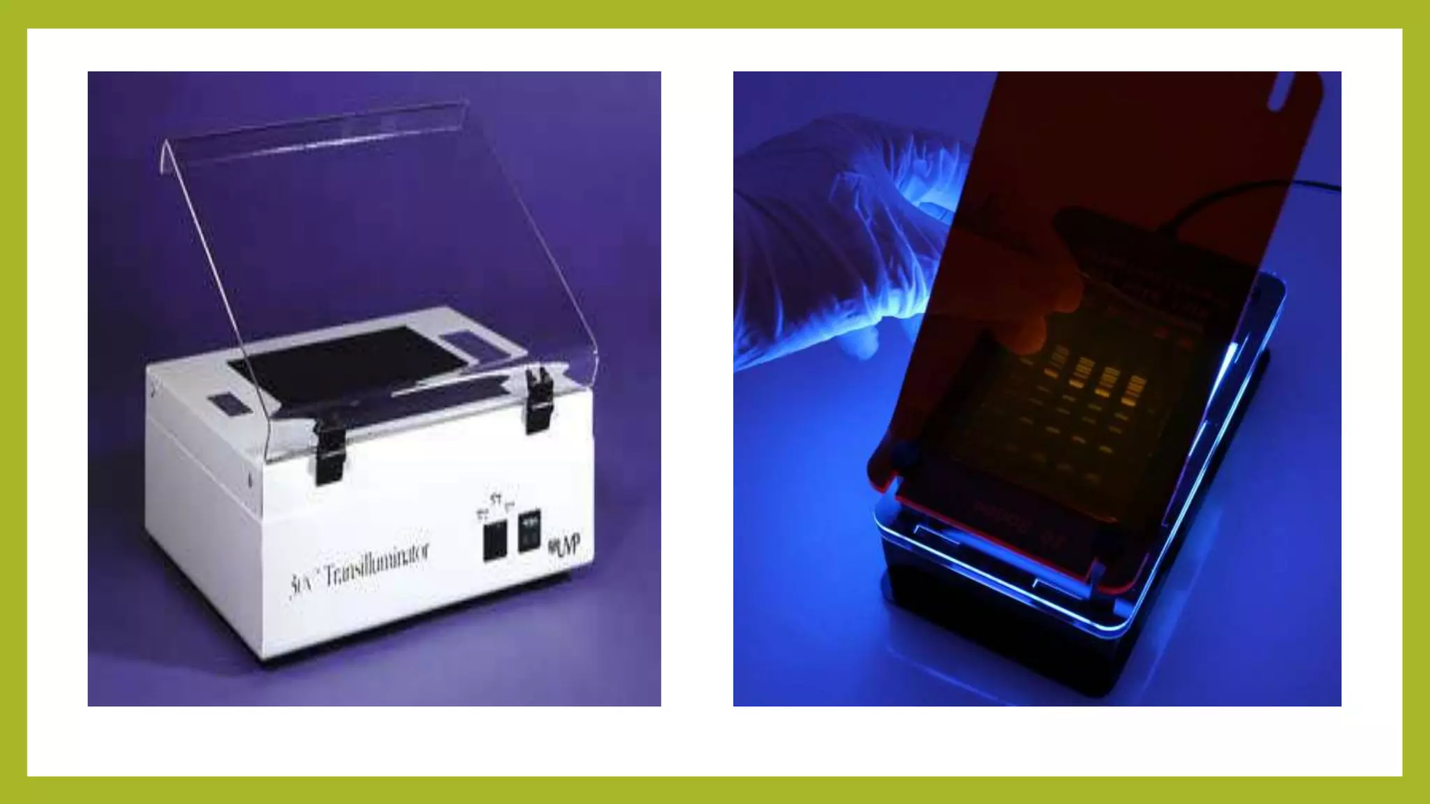 Instrumentation in biotechnology lab | PPTX