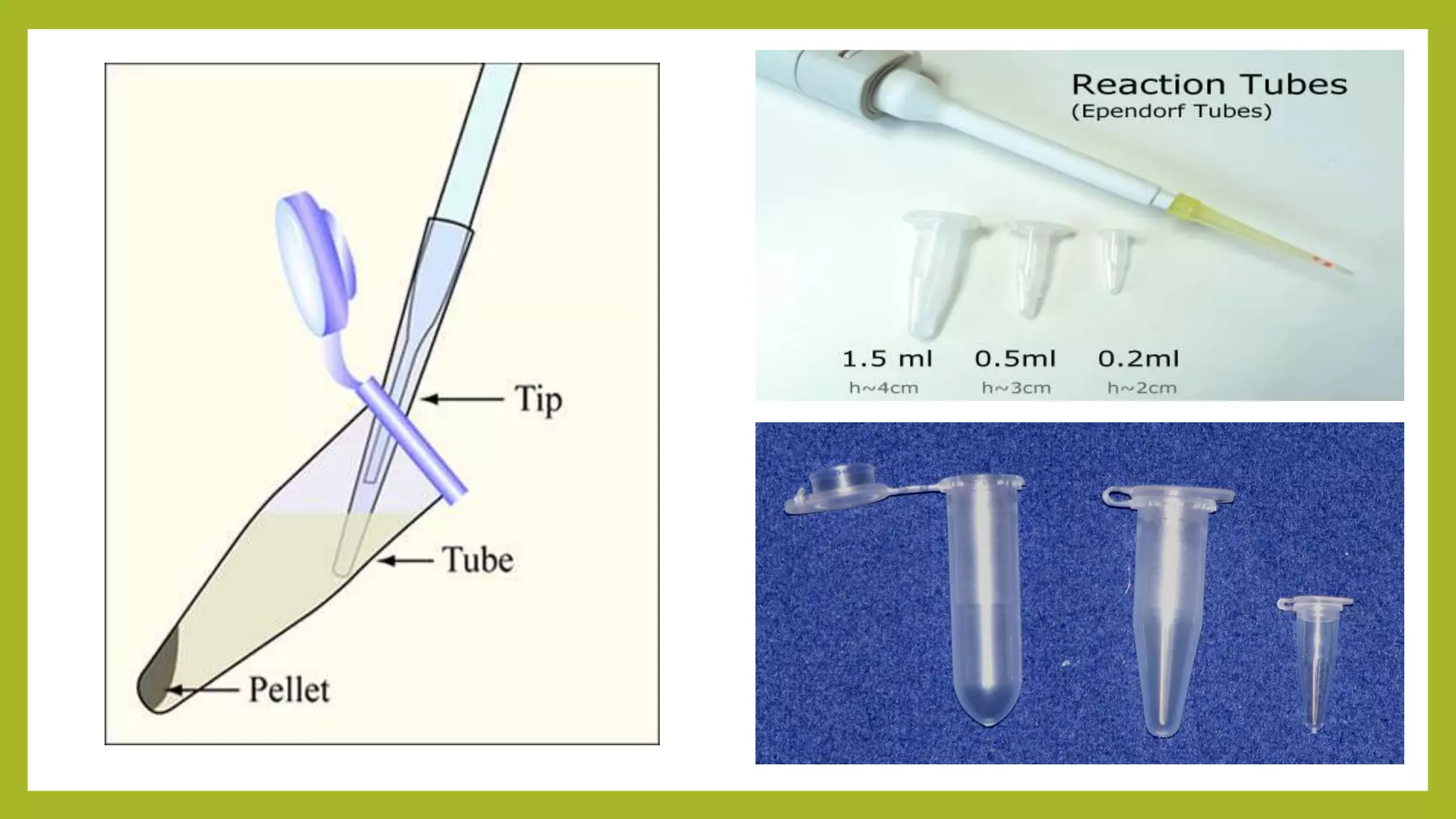 Instrumentation in biotechnology lab | PPTX