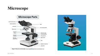 INSTRUMENTATION IN CLINICAL HAEMATOLOGY LABORATORY.pdf