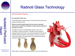 Instrumentation of Radnoti Working Heart - Langendorff System | PDF