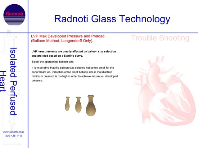 Instrumentation of Radnoti Working Heart - Langendorff System | PDF