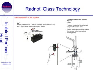 Instrumentation of Radnoti Working Heart - Langendorff System | PDF