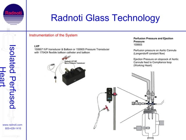 Instrumentation of Radnoti Working Heart - Langendorff System | PDF