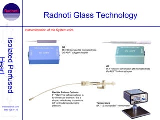 Instrumentation of Radnoti Working Heart - Langendorff System | PDF
