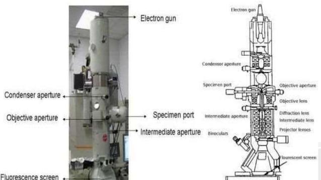 Instrumentation of Transmission electron microscope .............. ,,,.pptx