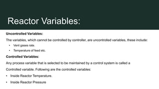 Instrumentation & Process Control of a FBR.pptx