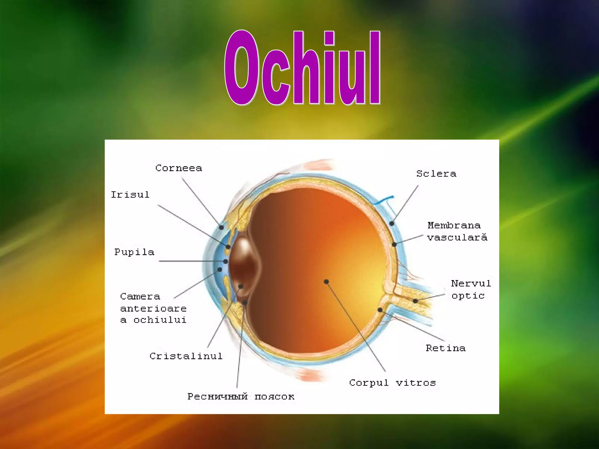 Instrumente optice | PPT