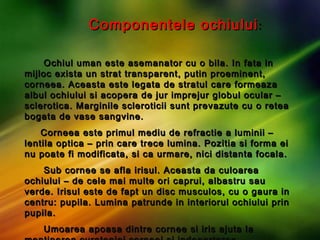 Instrumente optice | PPT