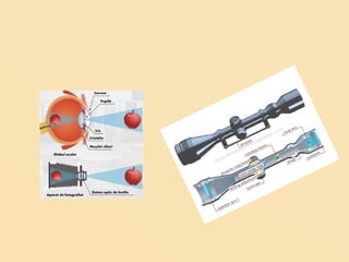 Instrument optic | PPT