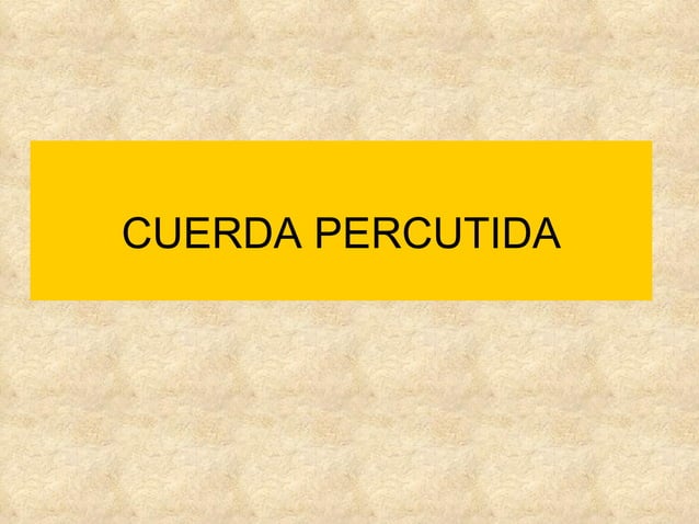 Instrumentos De Cuerda Percutida | PPT