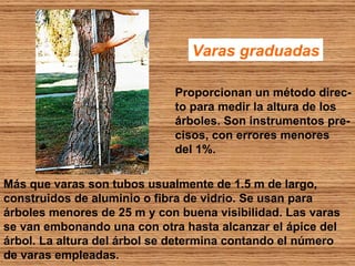 Instrumentos de medición forestal | PPS