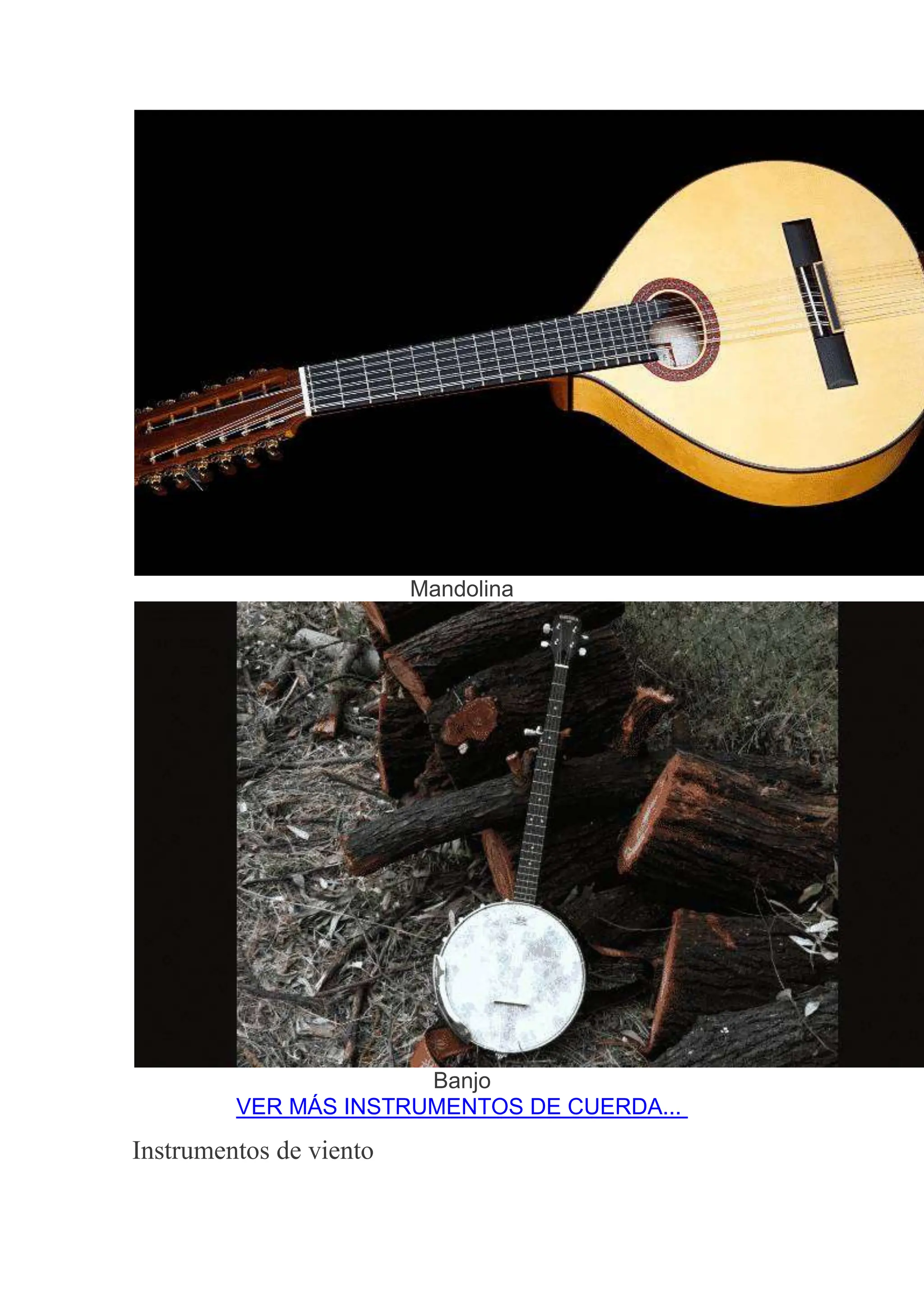 Instrumentos Musicales. Clasificación (2).docx