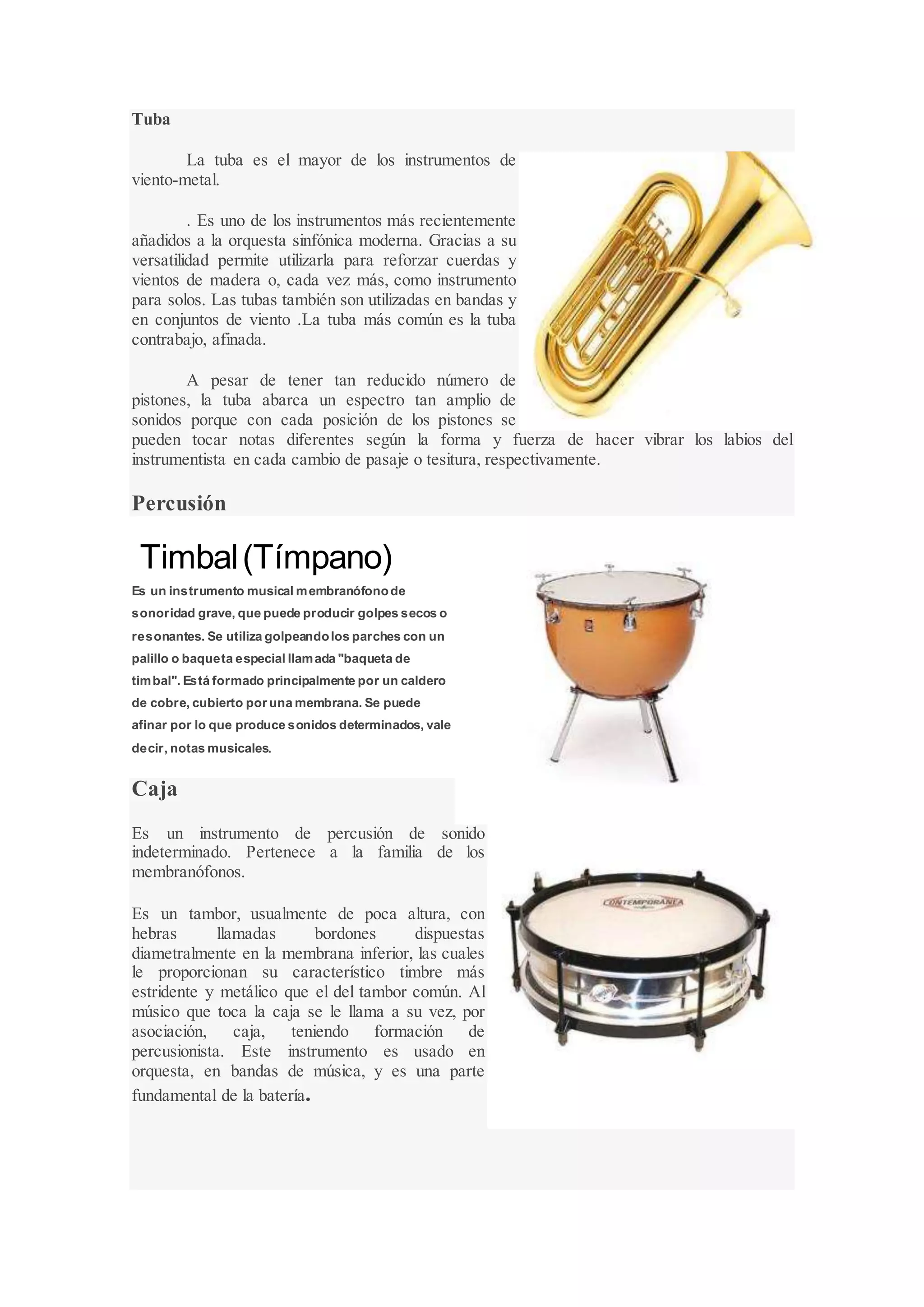 Instrumentos musicales y su clasificacion | DOCX | Classical Music | Music
