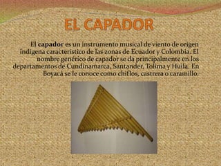 Instrumentos propios colombianos | PPTX